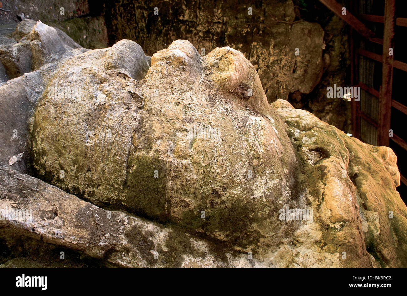 Ruins of an ancient Mayan colossal sculpture in the Mask Temple at the ...