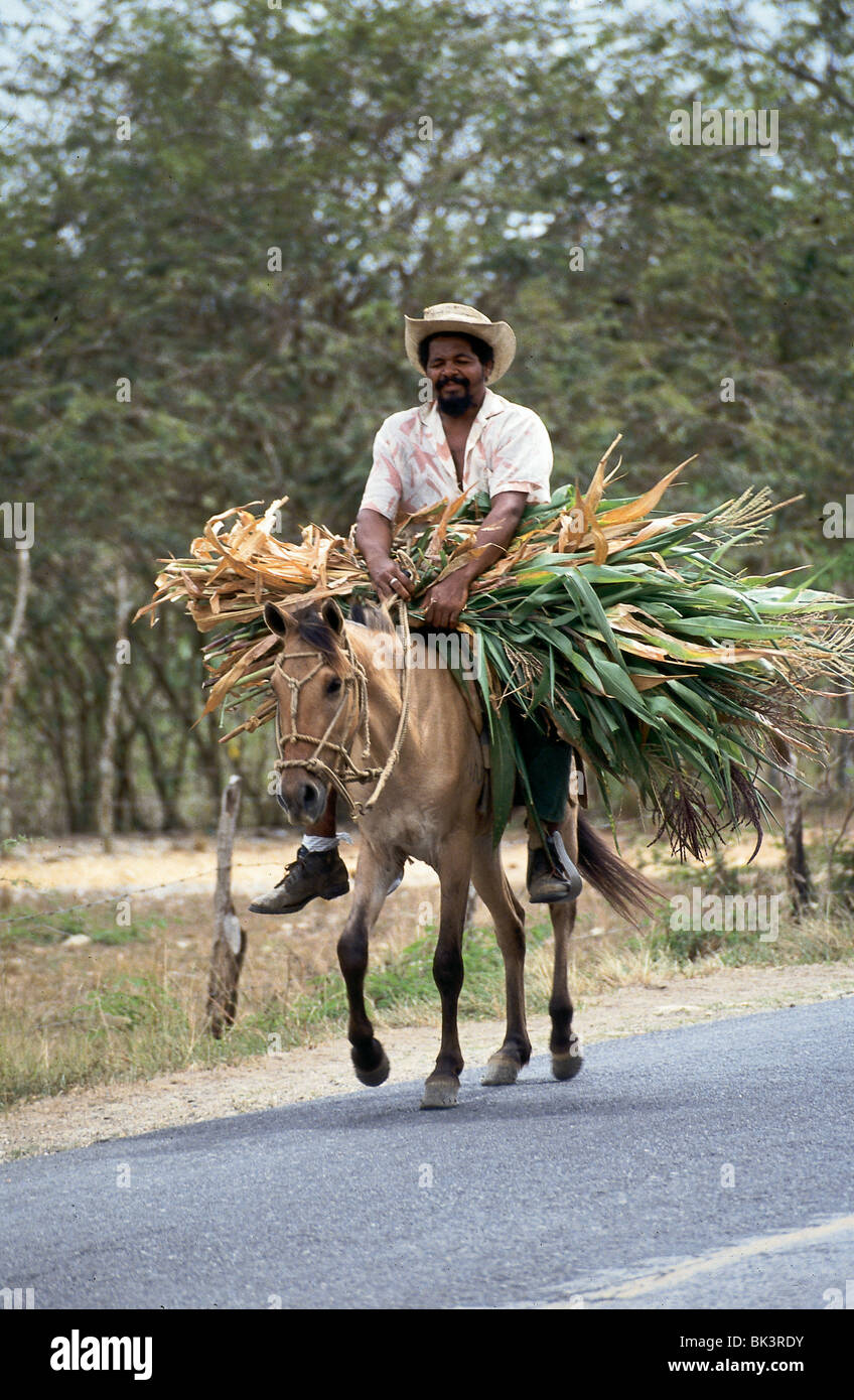 Horse carrying crops hi-res stock photography and images - Alamy