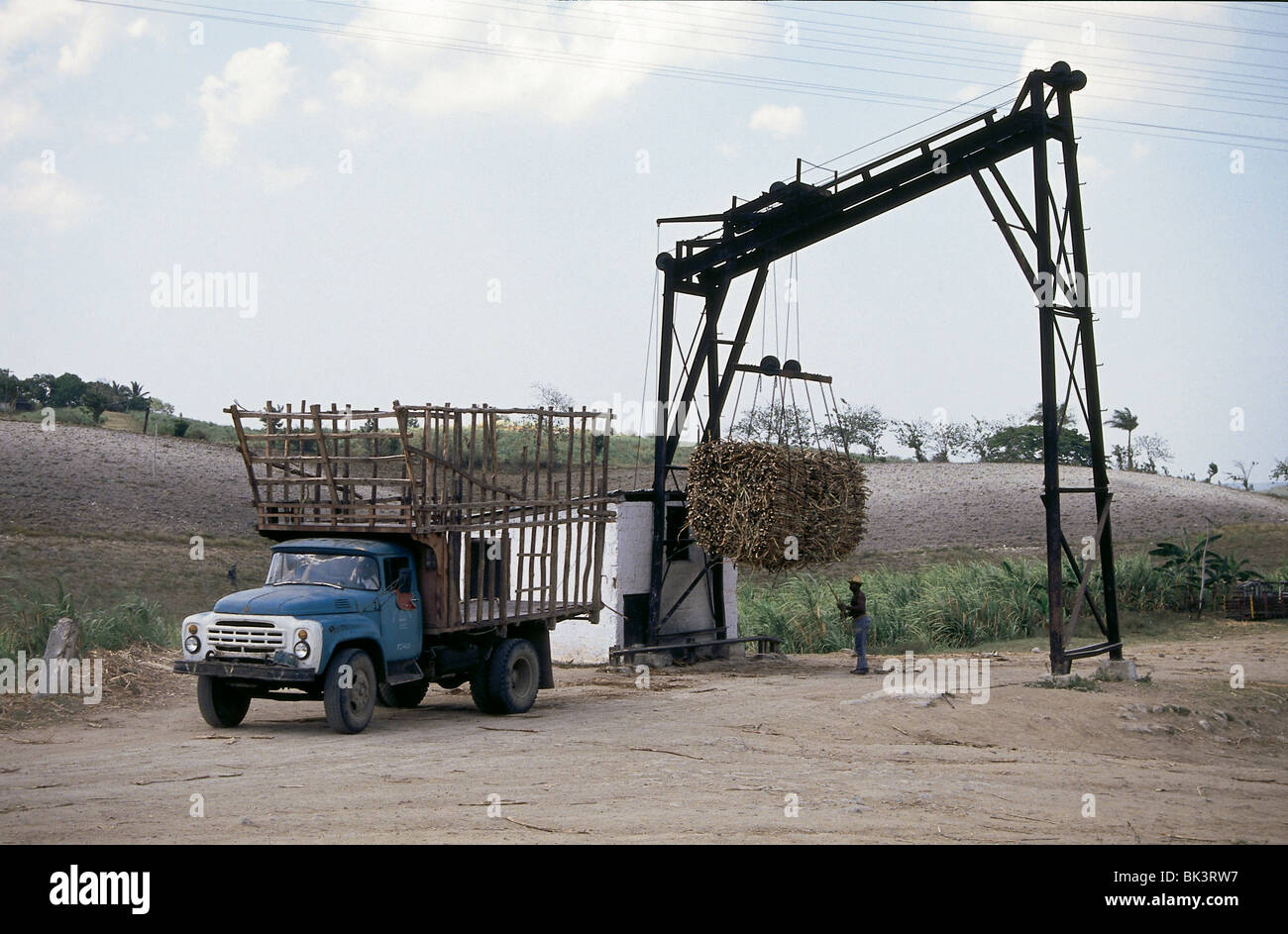 Unloading the agricultural crop of sugar cane at a processing center ...