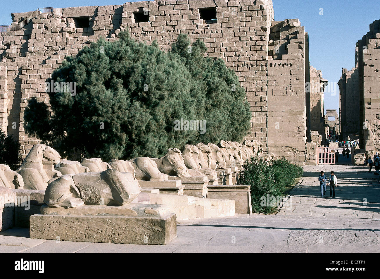 Avenue of Criosphinxes at the Temple of Amun at Karnak in ancient ...