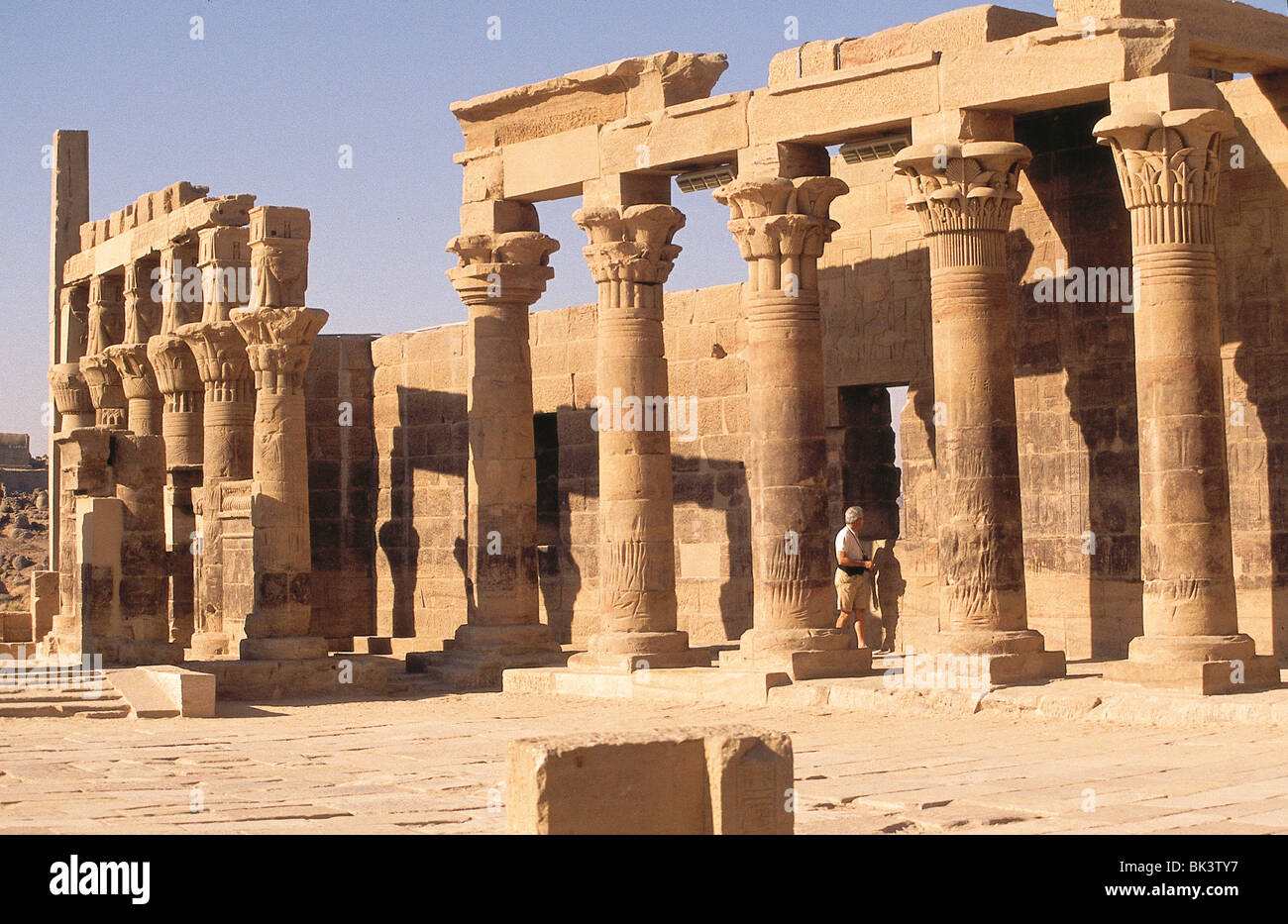 Egyptian archaeological site with composite colonnade lotus-flower ...