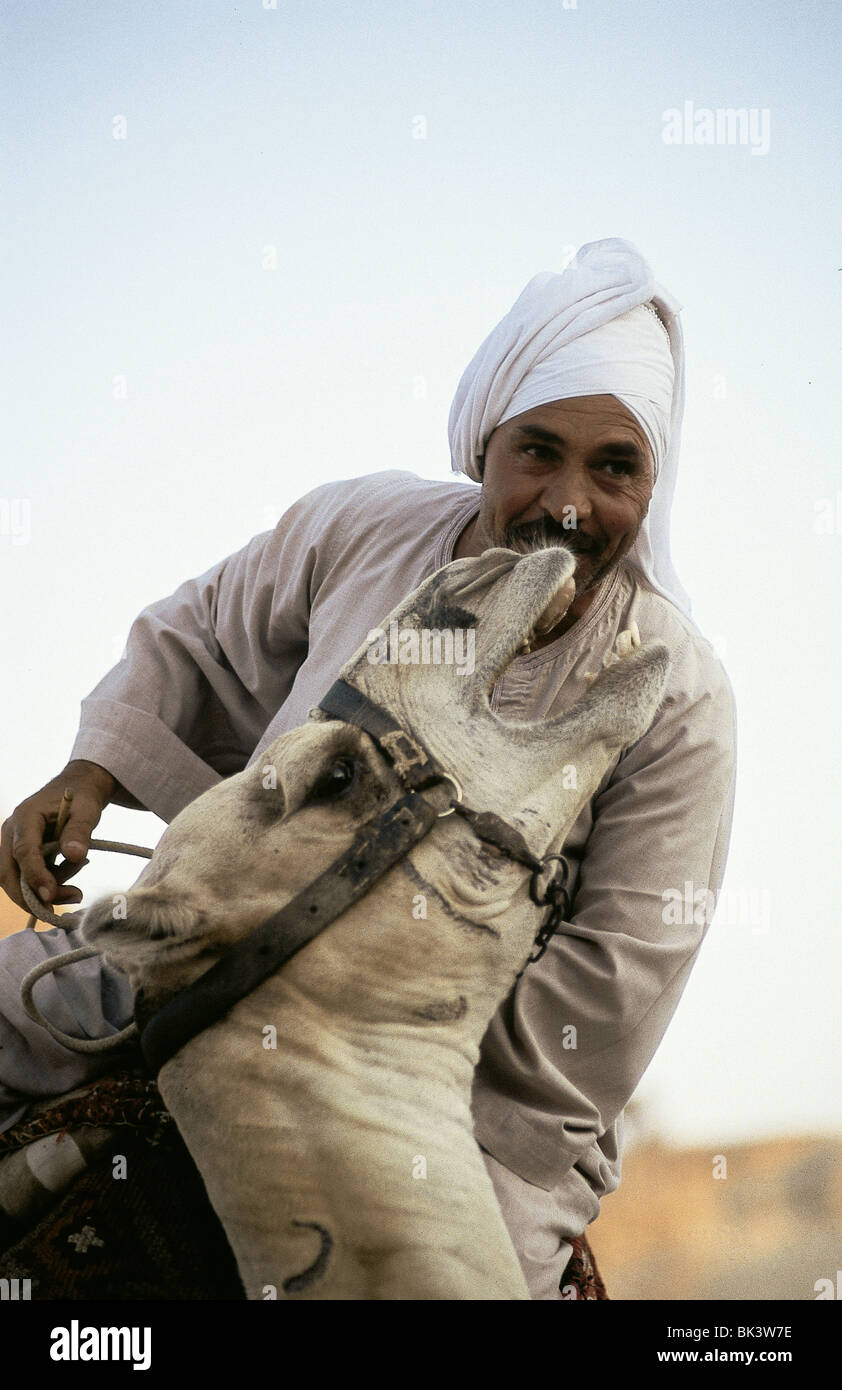 Portrait of a camel and rider in the Middle East country of Egypt Stock ...