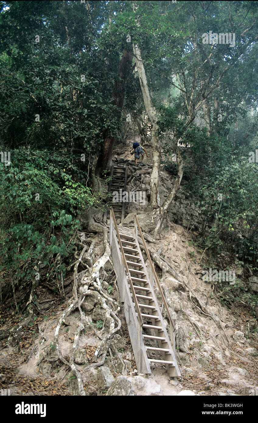 Wood Staircase at the Mayan Ruins of Tikal, Guatemala Stock Photo - Alamy