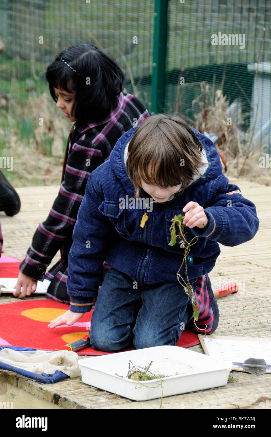 Little girl pond dipping Stock Photo - Alamy