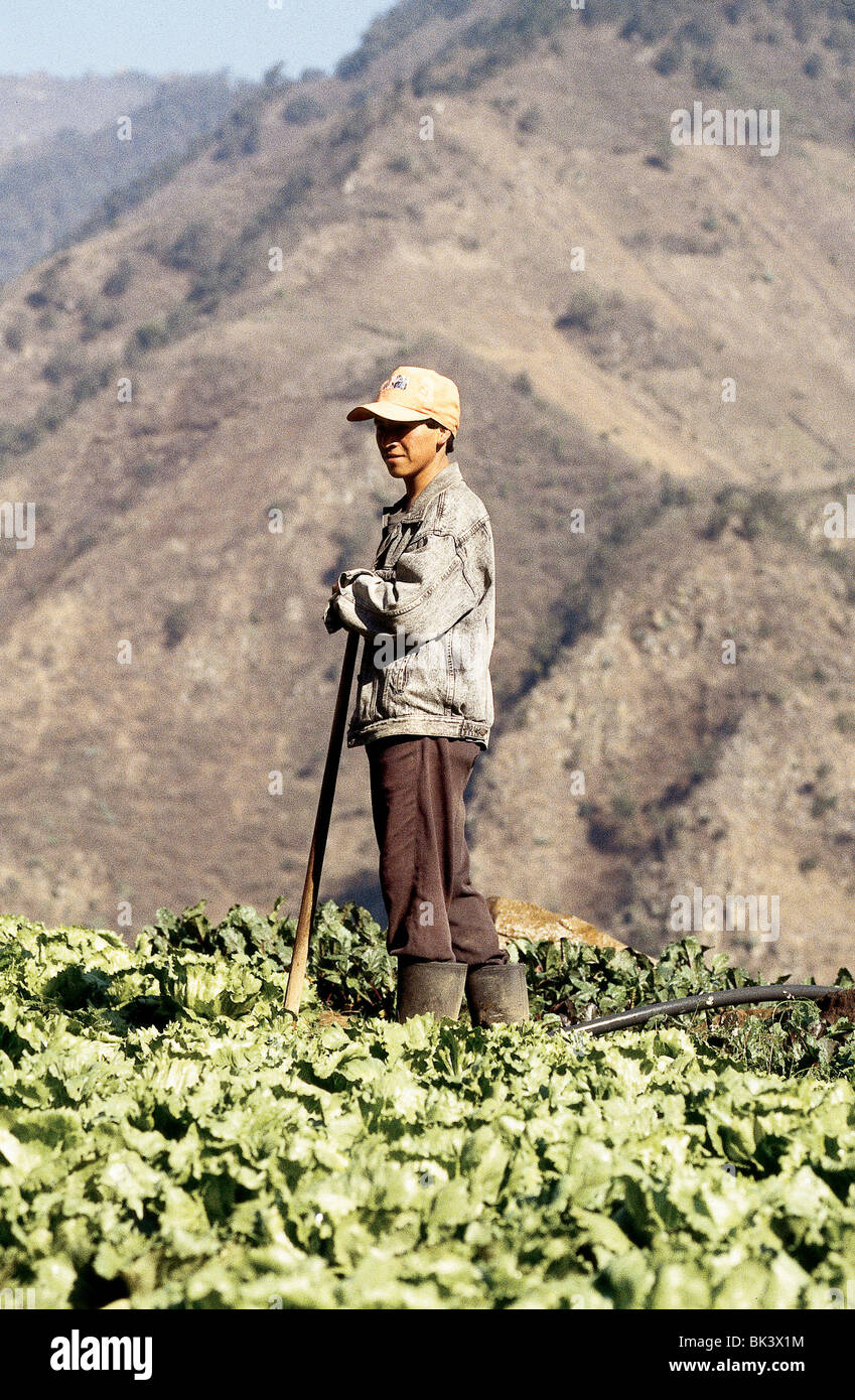 Guatemalan farmer hi-res stock photography and images - Alamy