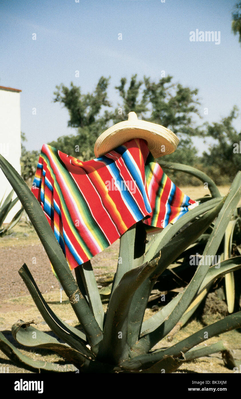 Sombrero and serape on a cactus, Mexico City, Mexico Stock Photo - Alamy