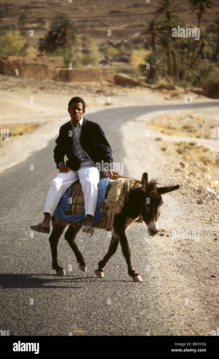 Donkey Riding Rider Stock Photos & Donkey Riding Rider Stock Images - Alamy