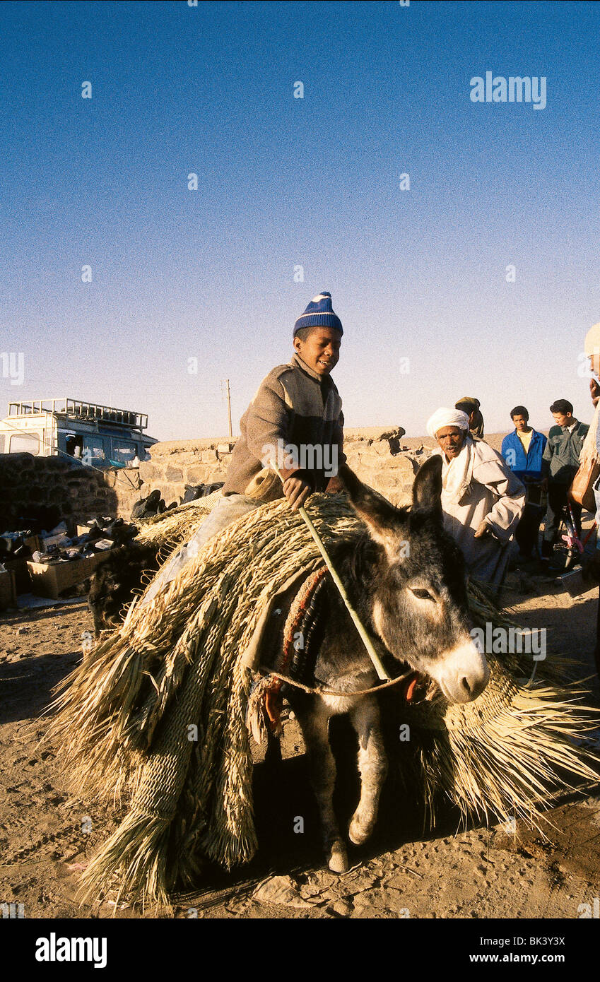 Donkey riding rider hi-res stock photography and images - Alamy