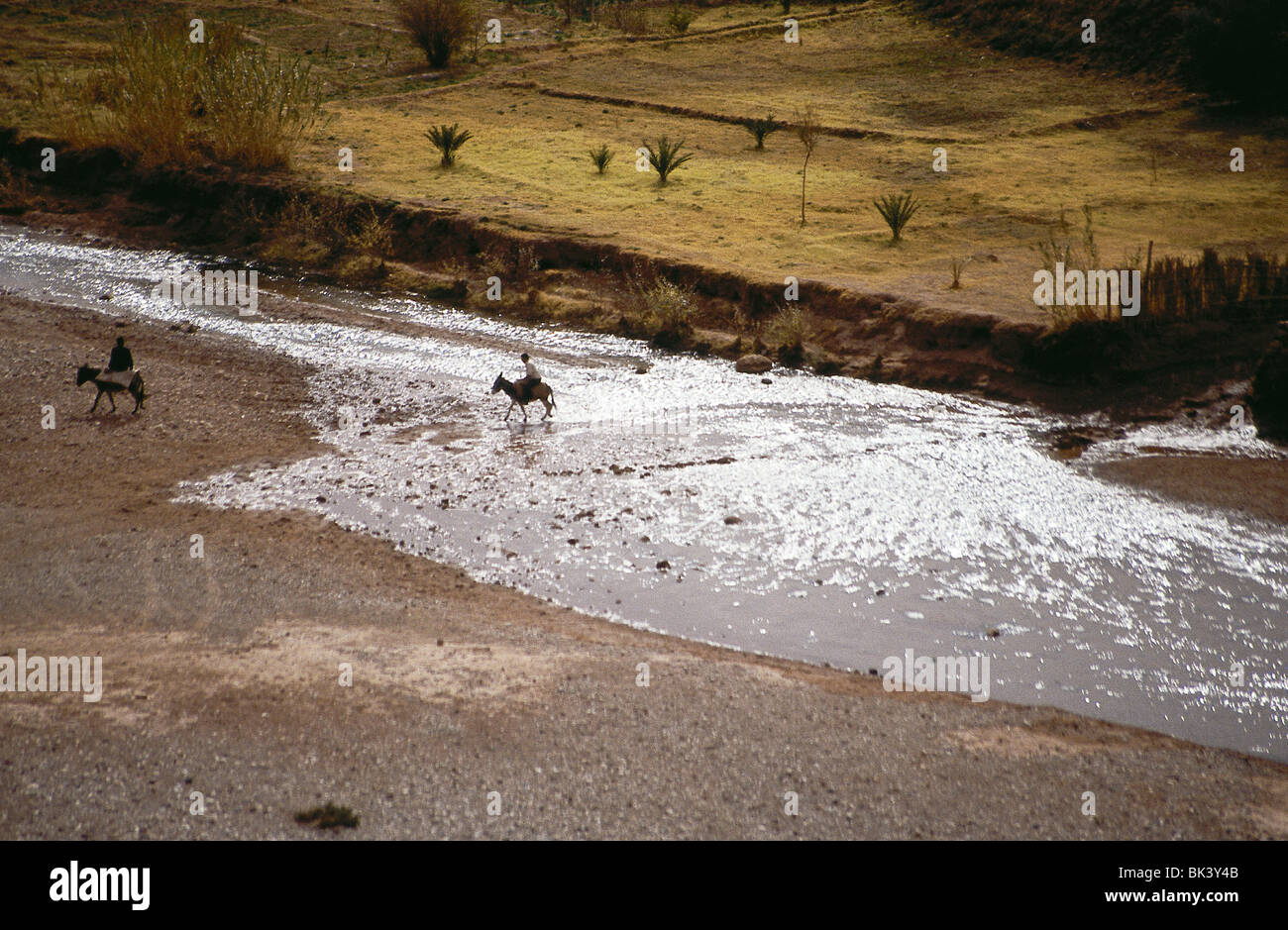 People riding donkeys across a river in Morocco Stock Photo - Alamy