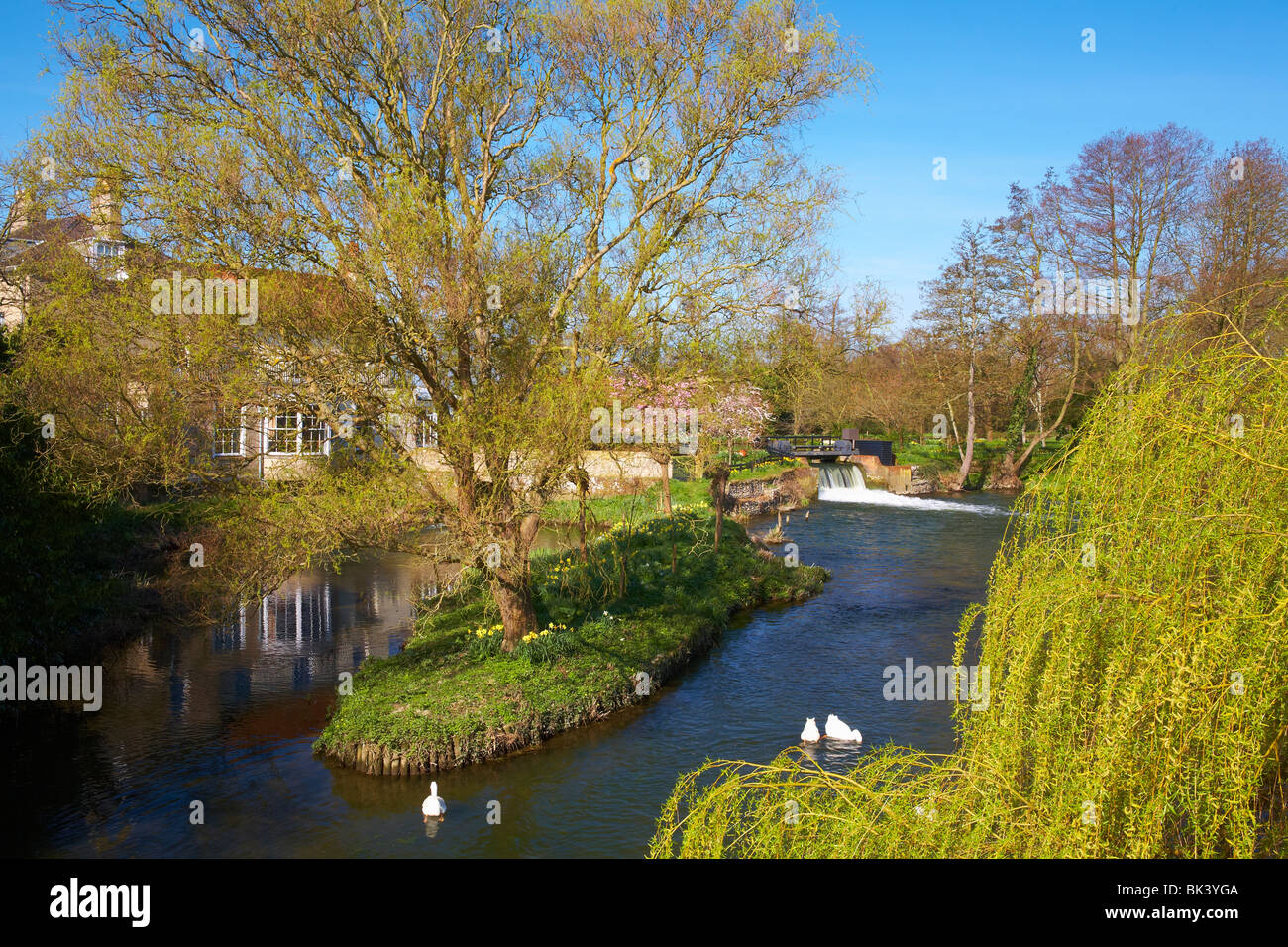Great Britain England Suffolk Essex Borders Boxted Mill River Stour ...