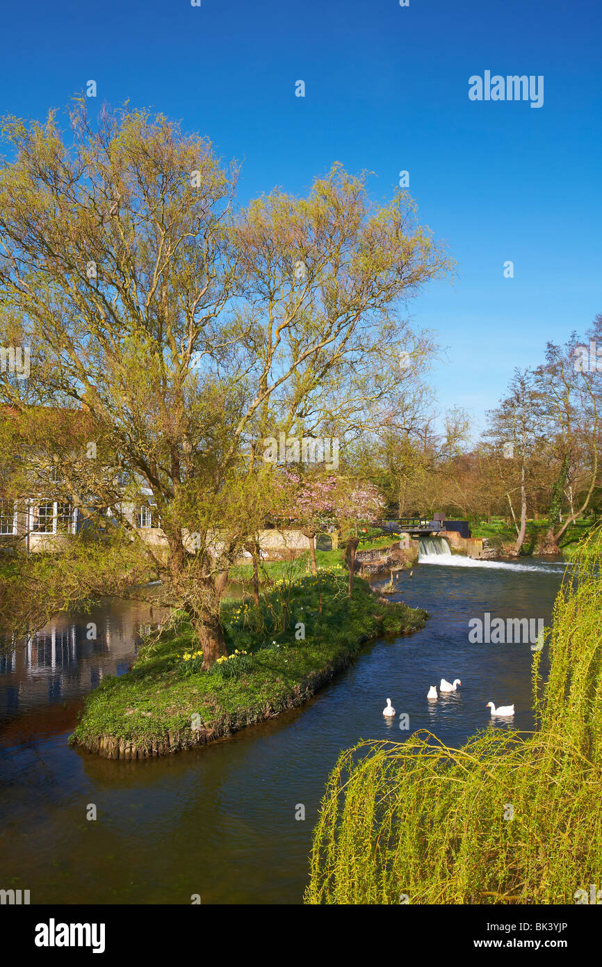 Stour river valley hi-res stock photography and images - Alamy