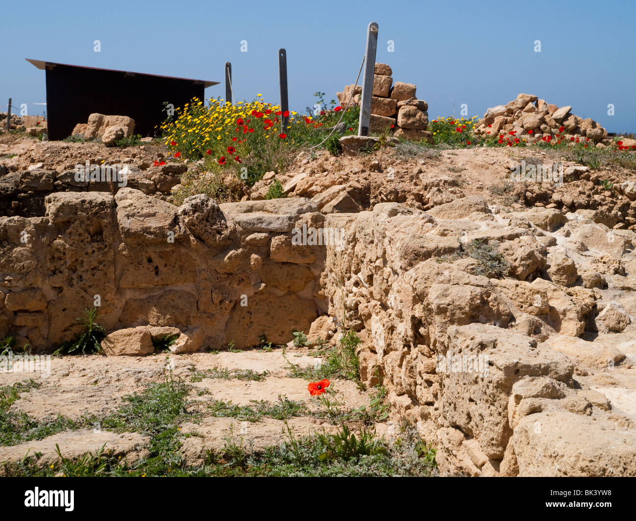 Ruins at the Paphos Archaeological Park, Cyprus Europe Stock Photo - Alamy