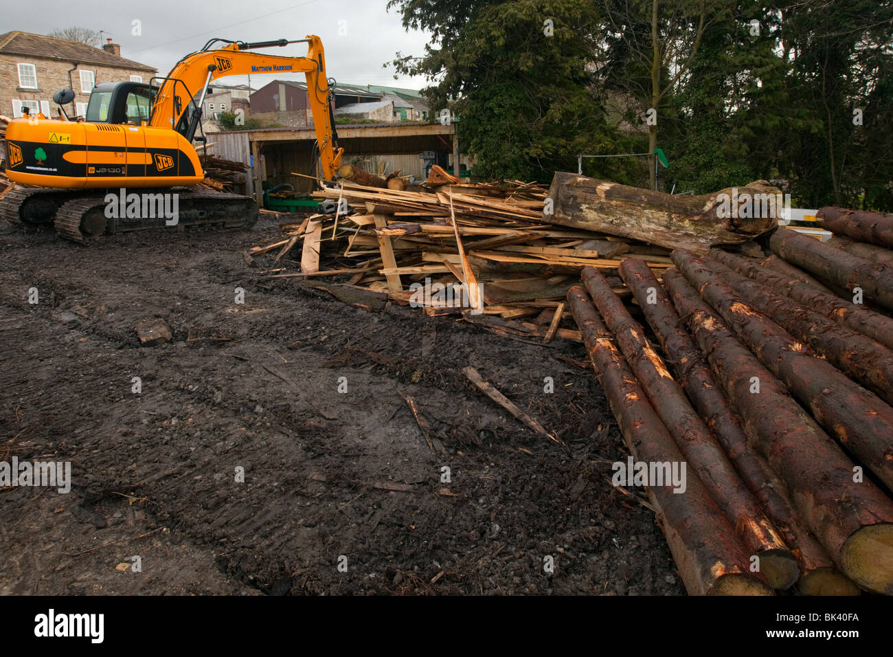 Deforestation, trees being chopped down to make way for farm land and ...
