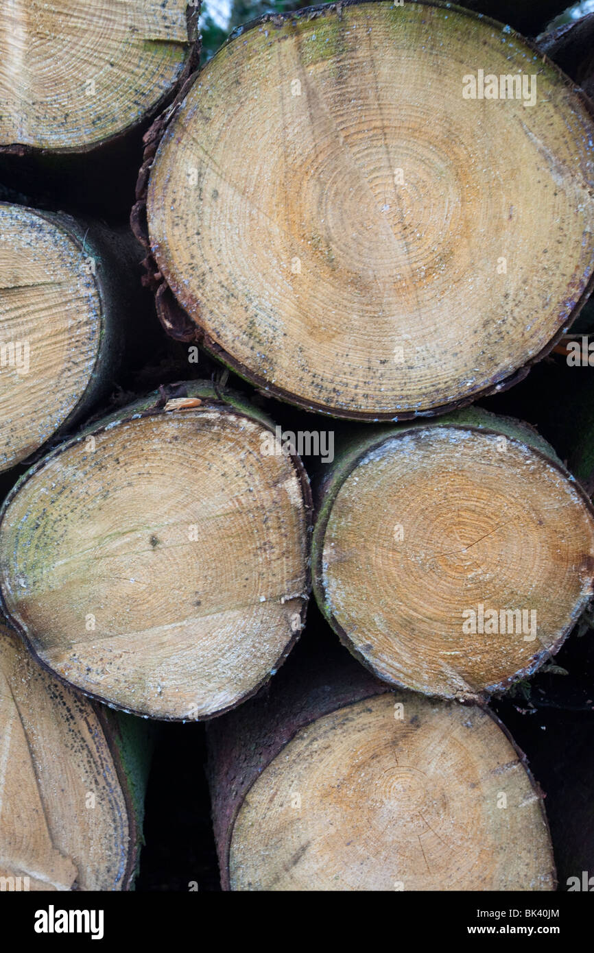 Deforestation, trees being chopped down to make way for farm land and ...