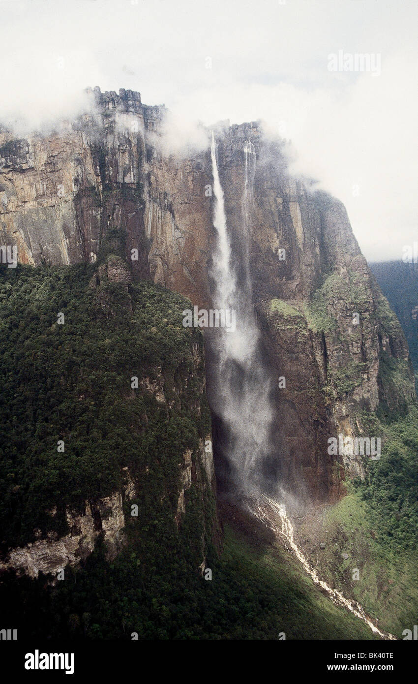 Angel Falls or Salto Angel is the world's highest waterfall in Canaima ...