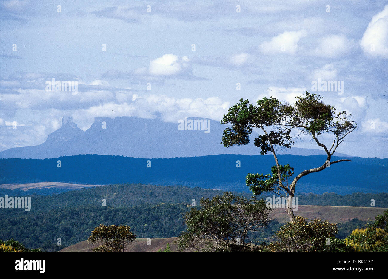 Tepui or mesa of the western side of the Ilú–Tramen Massif (left and ...
