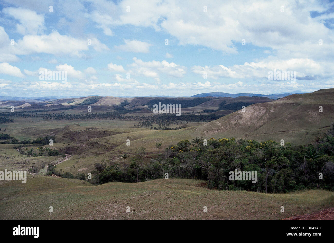 Gran Sabana landscape near the Brazil border in Southeastern Venezuela ...
