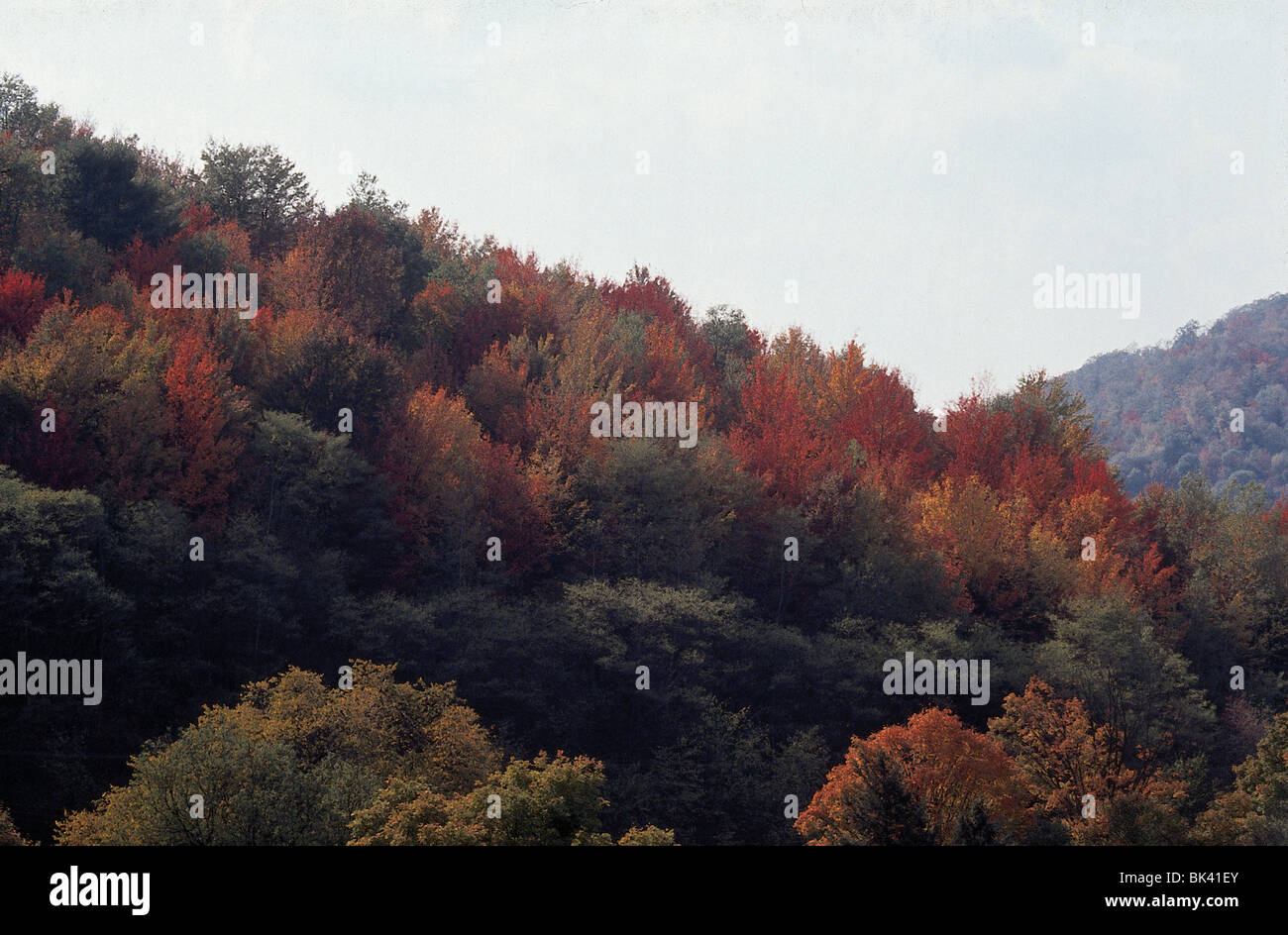 Fall foliage destinations in the usa vermont hi-res stock photography ...
