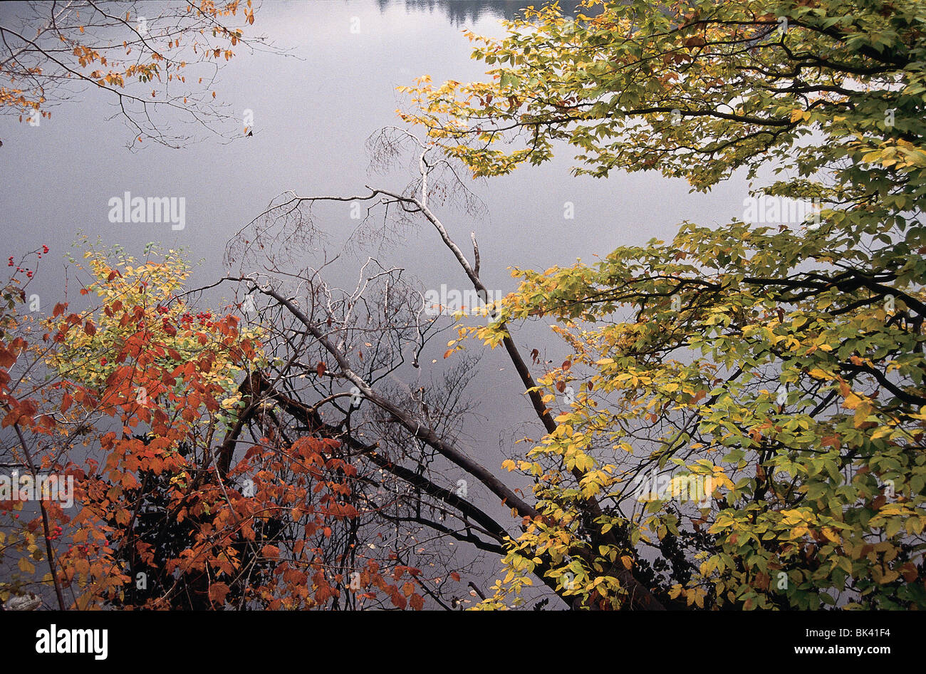 Fall foliage destinations in the usa vermont hi-res stock photography ...