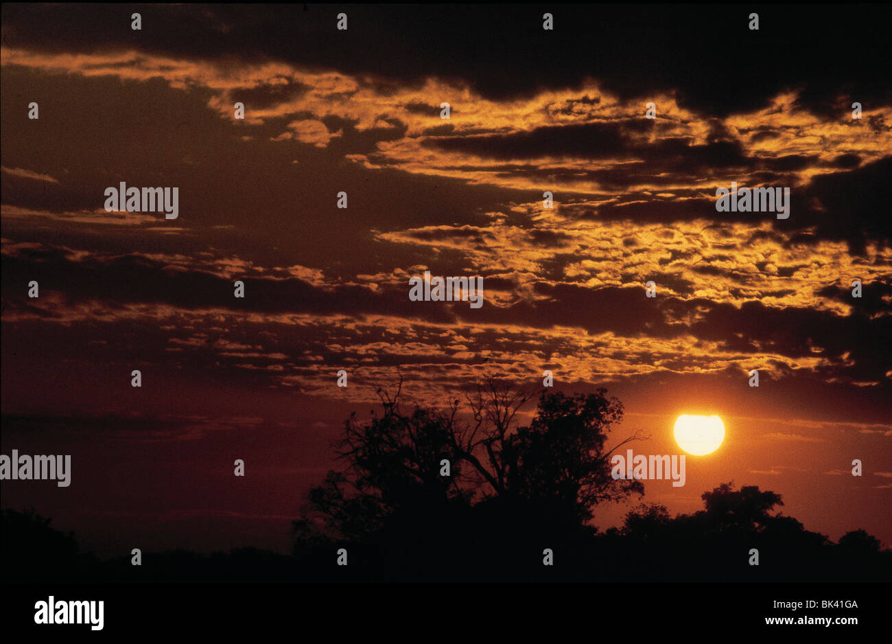 Golden sunset with the sun dipping below the cloud in Zimbabwe, Africa ...