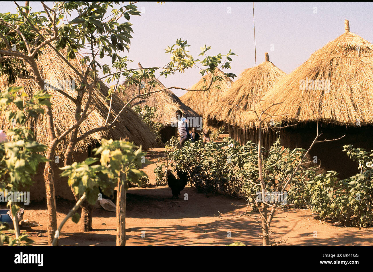 Africa zimbabwe huts in village hi-res stock photography and images - Alamy