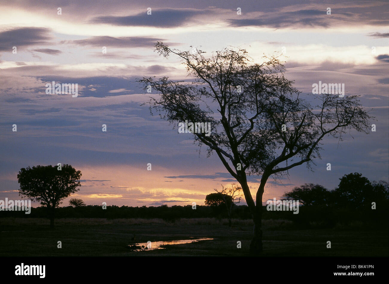 Zambia central hi-res stock photography and images - Alamy