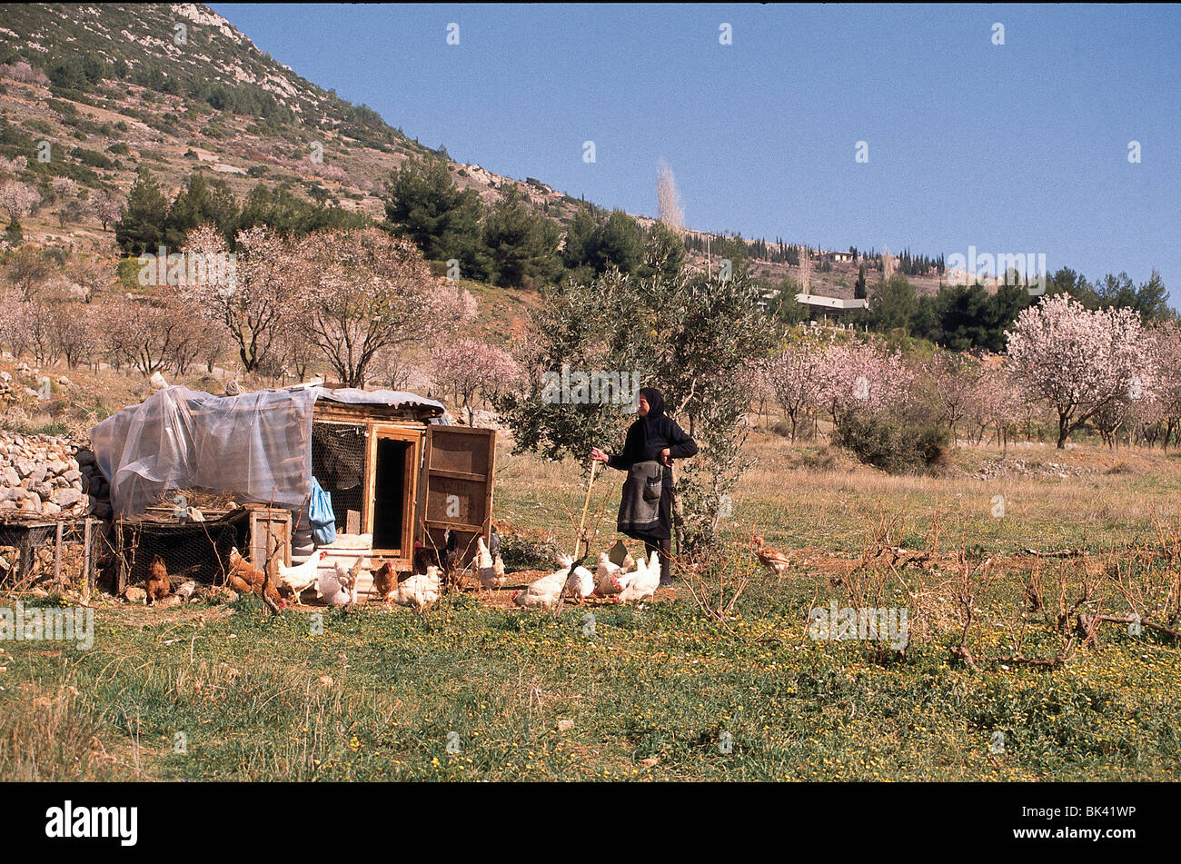Greek woman traditional clothes hi-res stock photography and images - Alamy