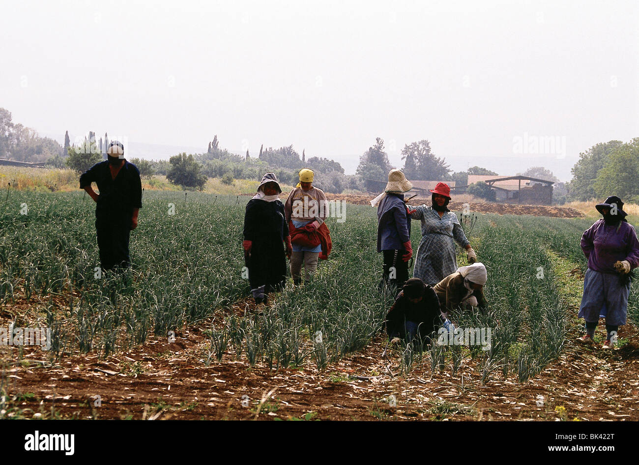 Kibbutz israel adults hi-res stock photography and images - Alamy