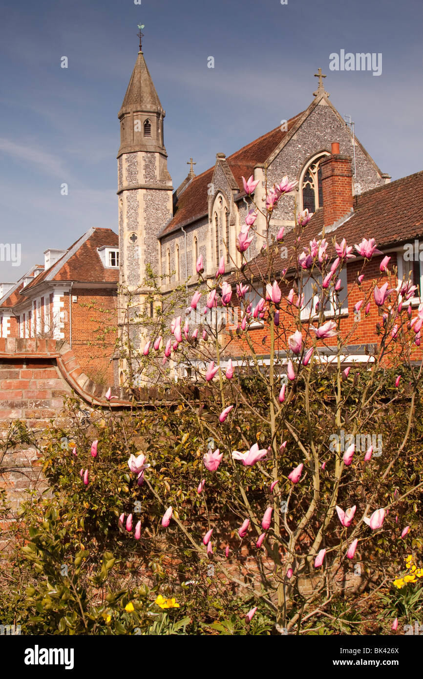 Sarum College in Salisbury on a Spring day Stock Photo - Alamy