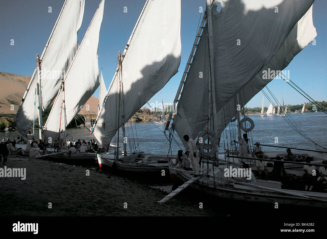 Sailboats along the Nile, Egypt Stock Photo - Alamy