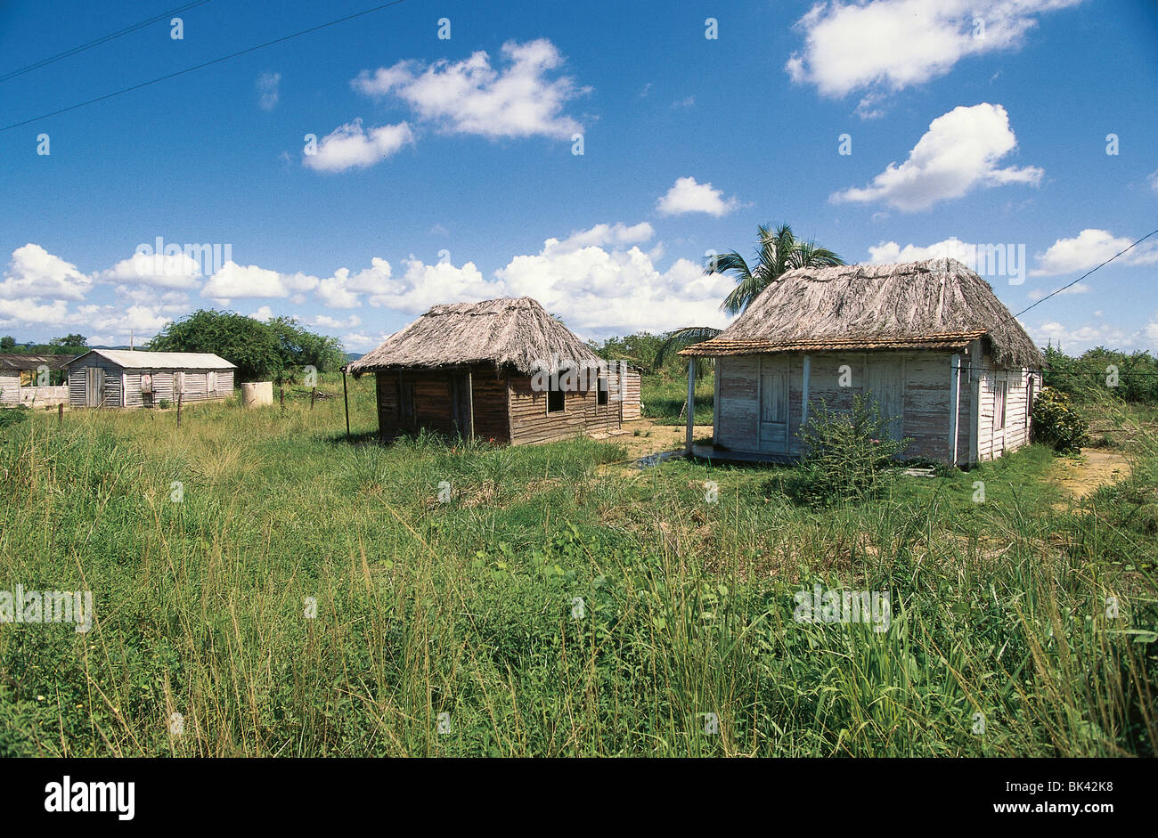 Rural Buildings in Pinar del Rio Province, near Candelaria, Cuba Stock ...
