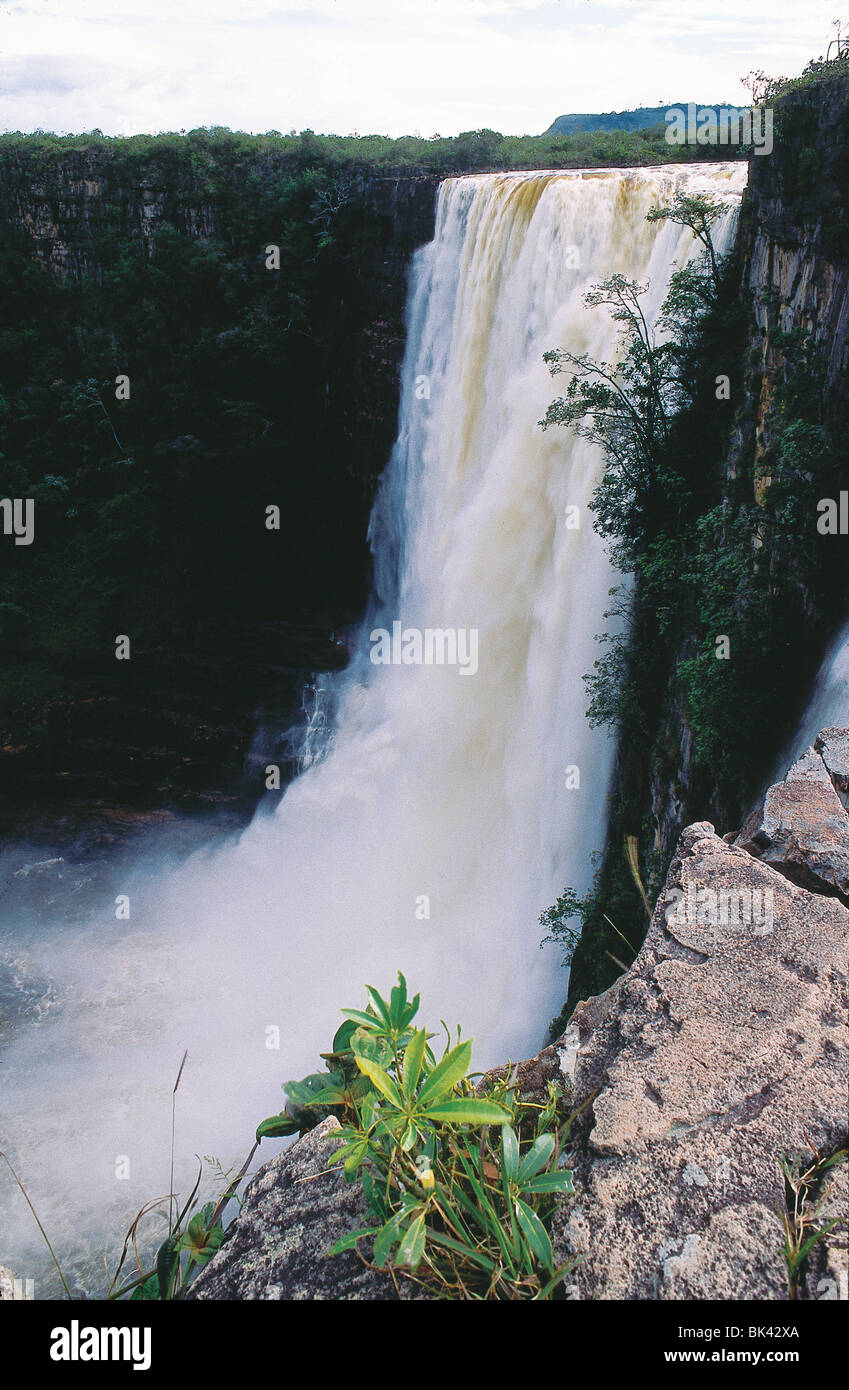 Chinak-Meru Falls (aka Aponwao Falls) in Canaima National Park ...