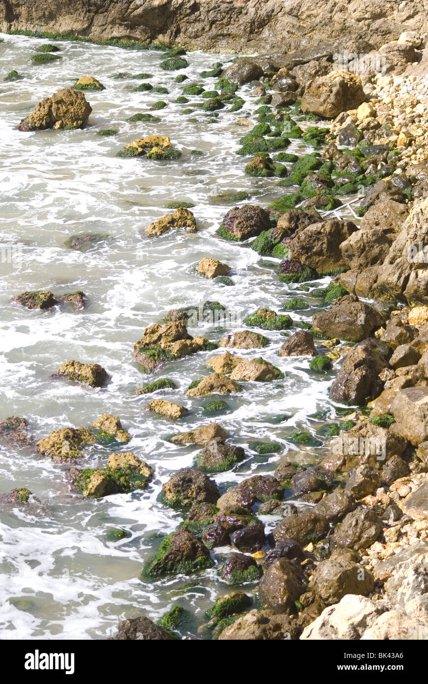 beach, rock and sea water Stock Photo - Alamy
