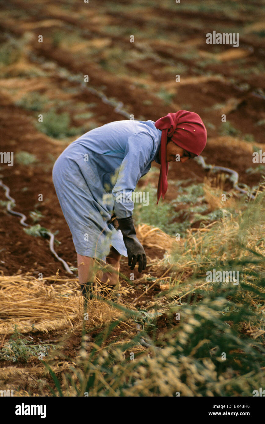 The ages of the worker hi-res stock photography and images - Alamy