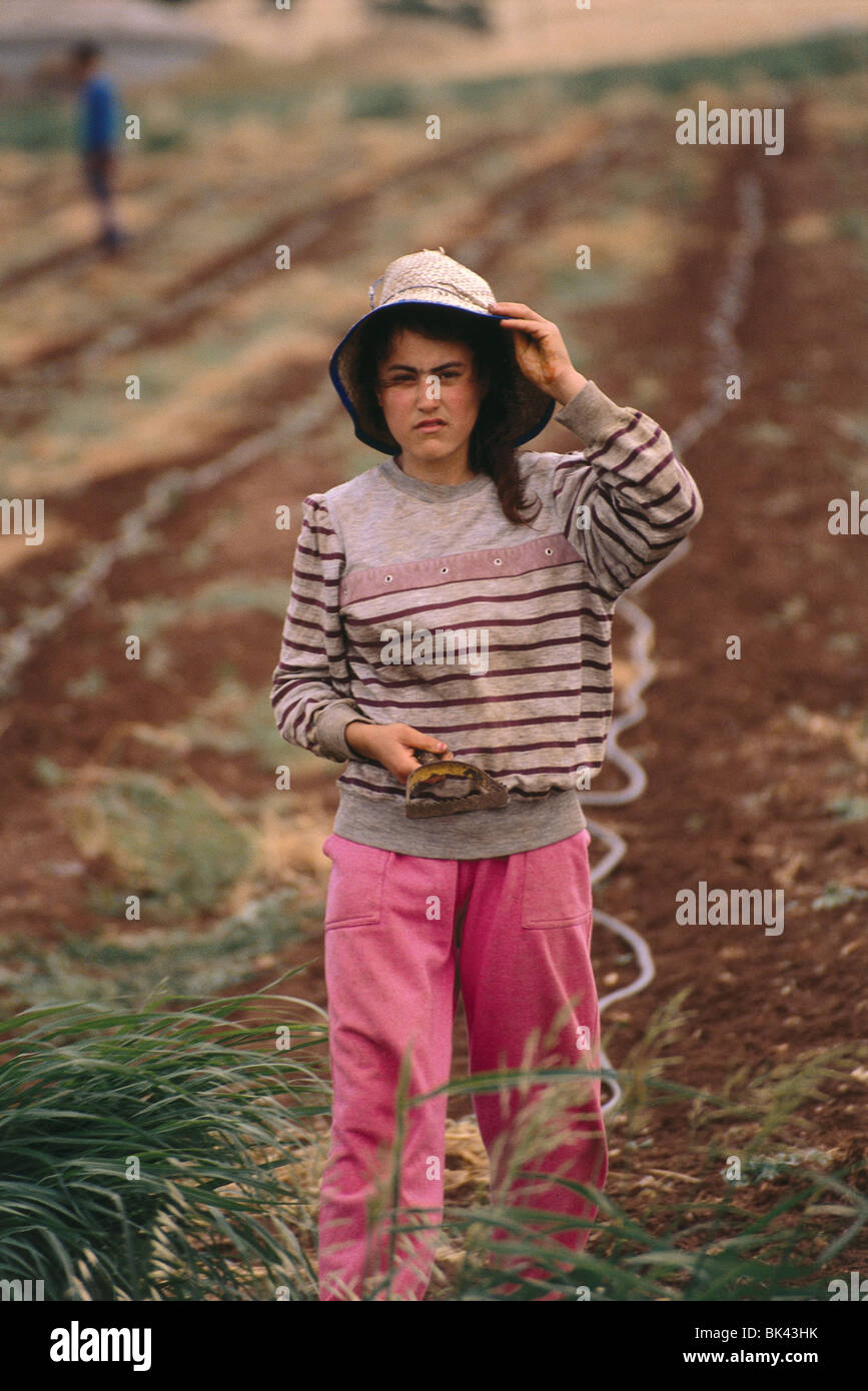 Farm worker in Israel Stock Photo - Alamy