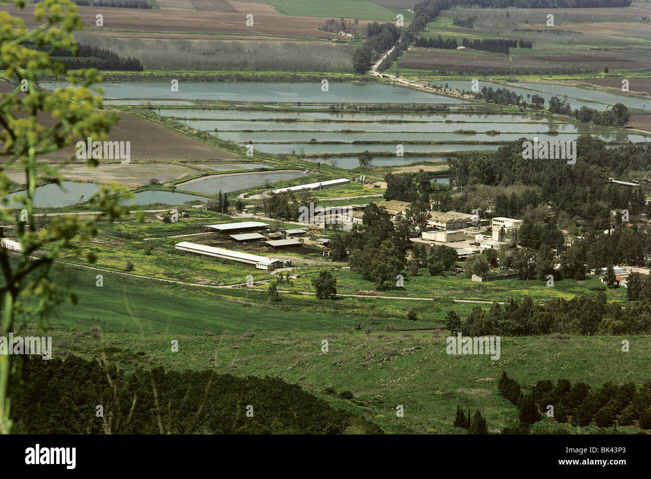 Fish farm in Northern Israel Stock Photo - Alamy