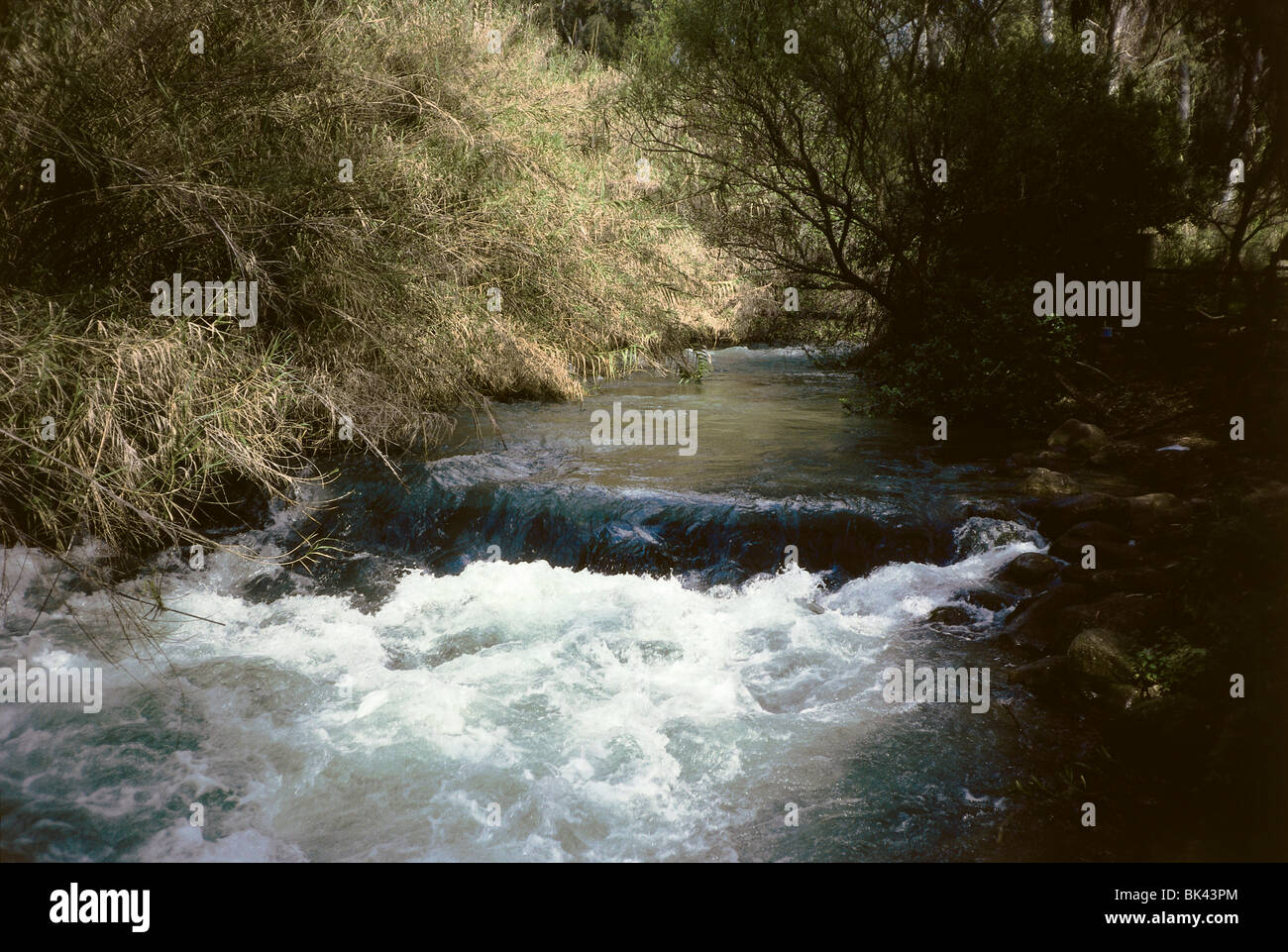 Tel dan nature reserve israel hi-res stock photography and images - Alamy