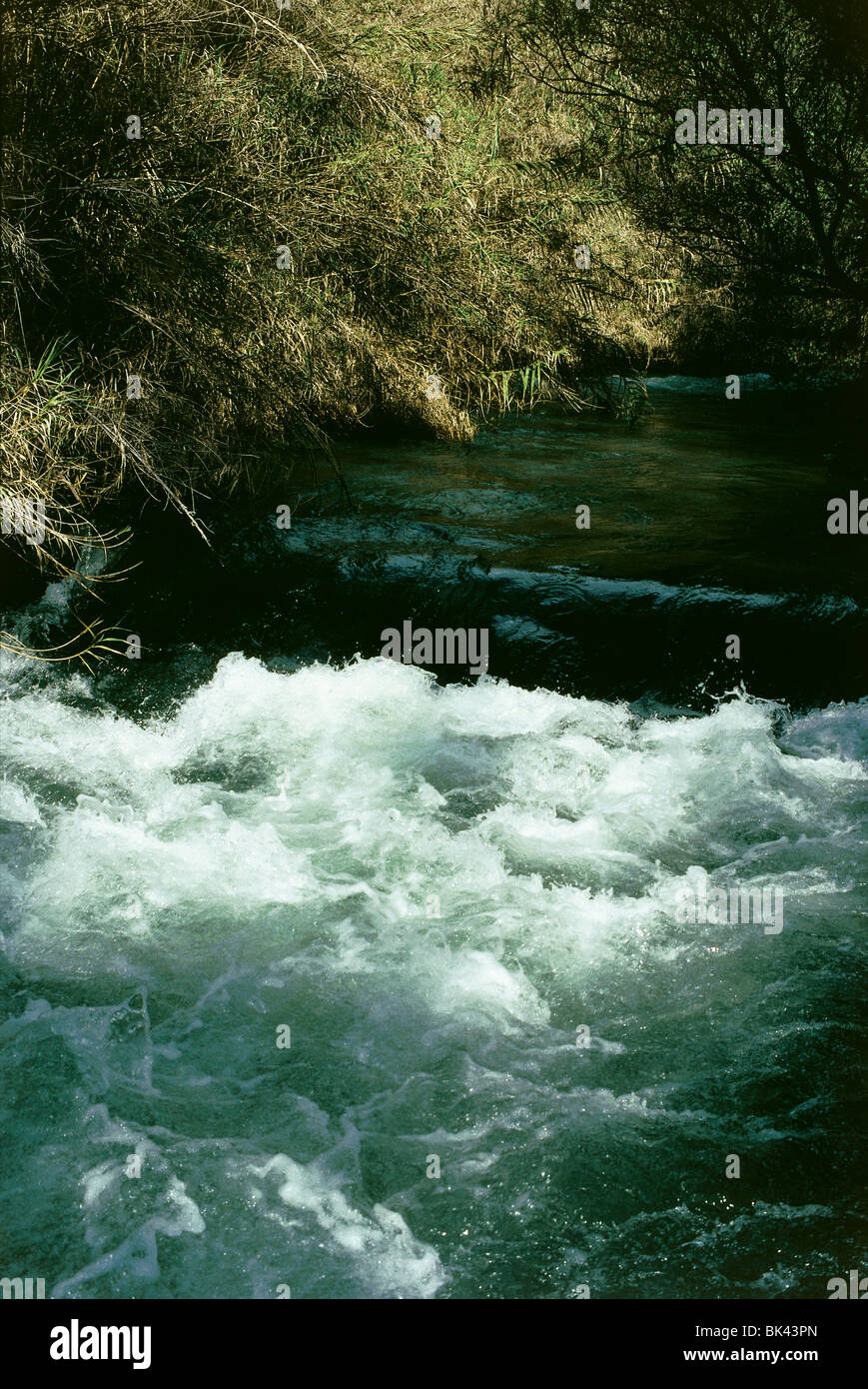 Tel dan nature reserve israel hi-res stock photography and images - Alamy