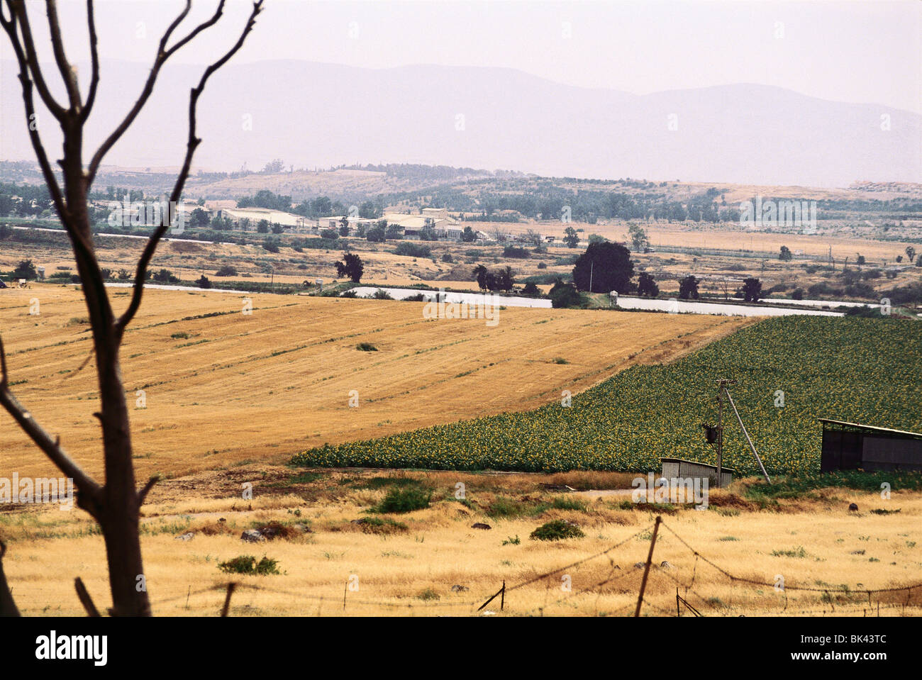 Middle eastern lands hi-res stock photography and images - Alamy