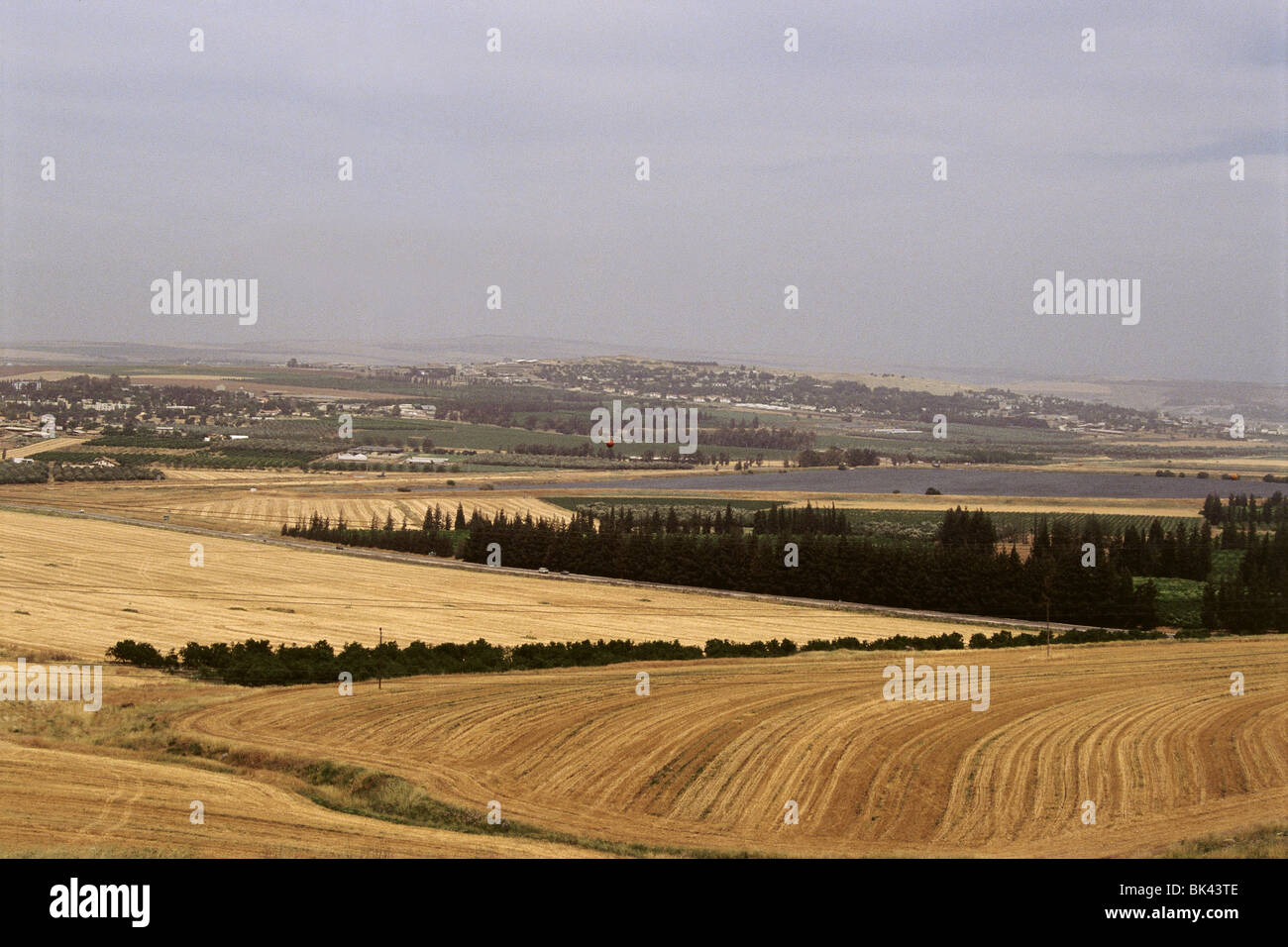 Middle east israel israeli agriculture farming israel hi-res stock ...