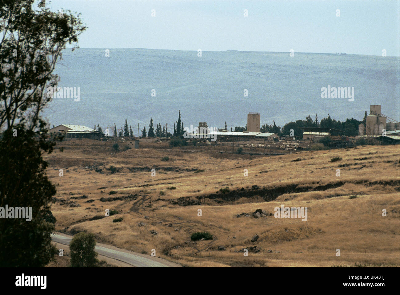 Rural scene with farm buildings, Israel Stock Photo - Alamy