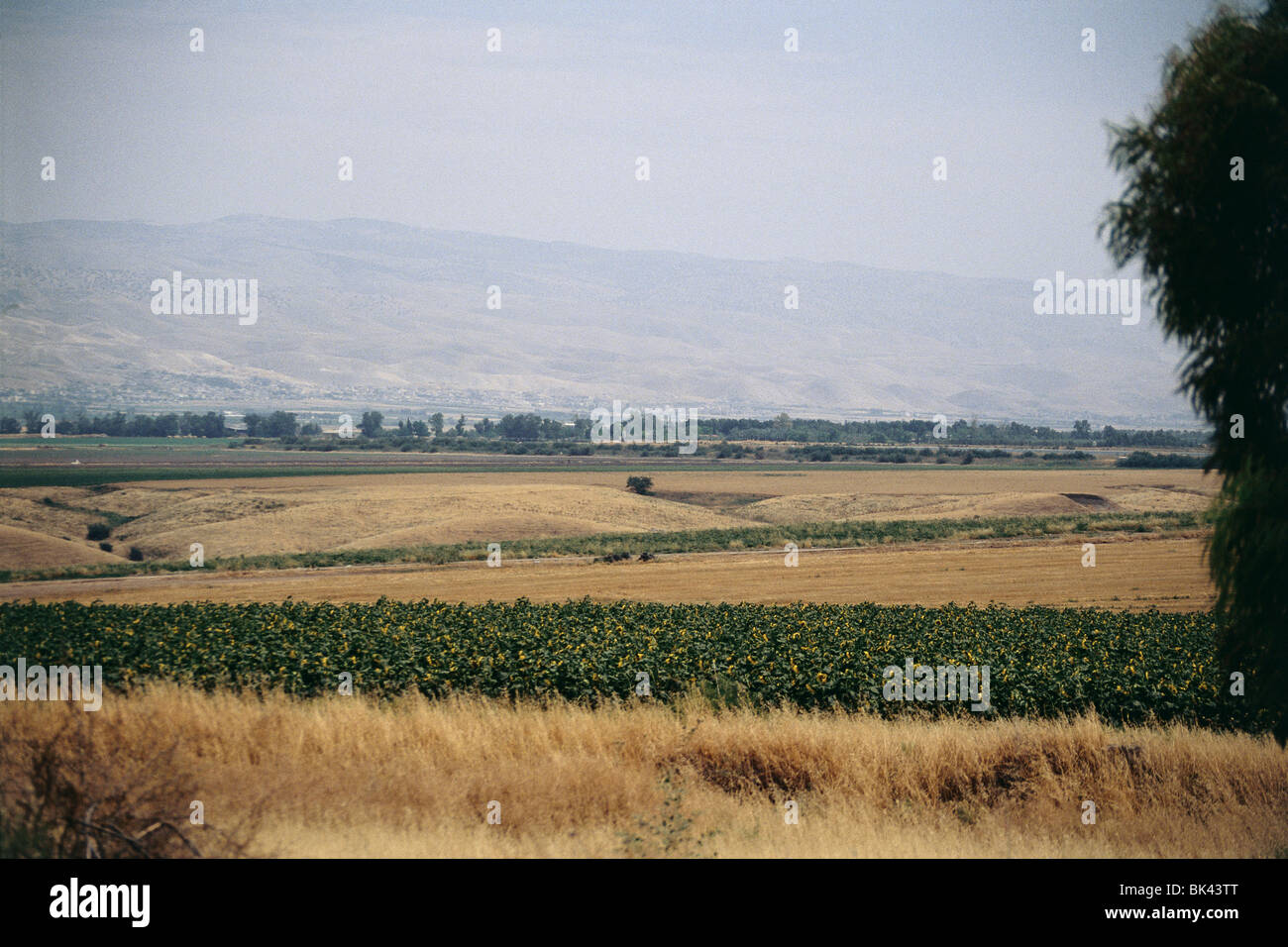 Agricultural farm land in Northern Israel Stock Photo - Alamy