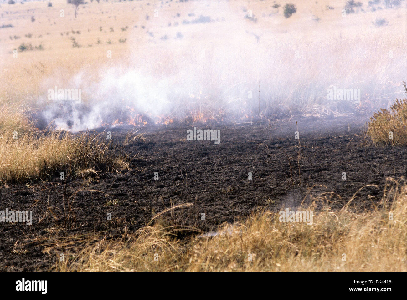 Burning grasslands hi-res stock photography and images - Alamy
