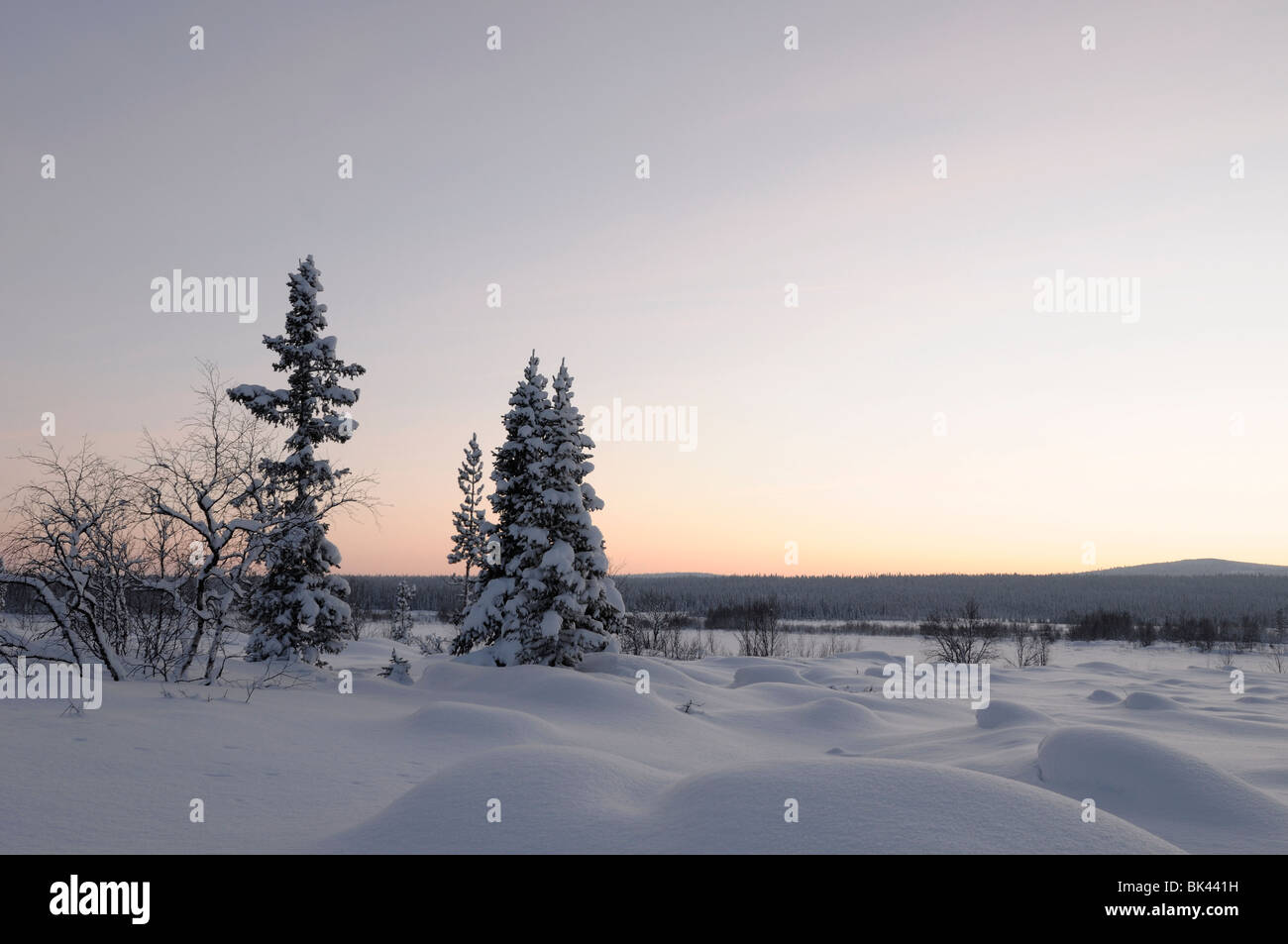 The sunset near the Arctic circle Stock Photo - Alamy