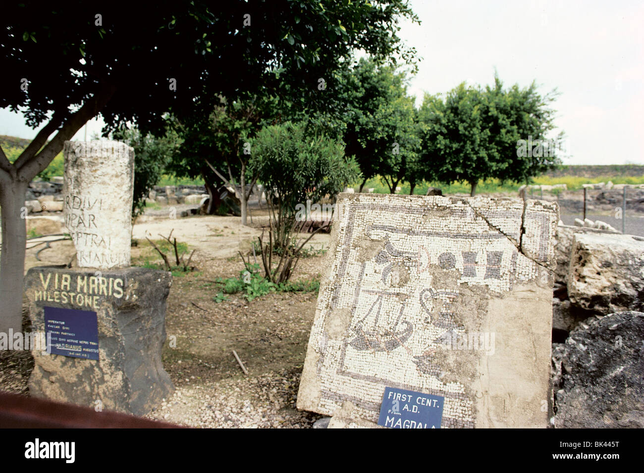 Via maris hi-res stock photography and images - Alamy