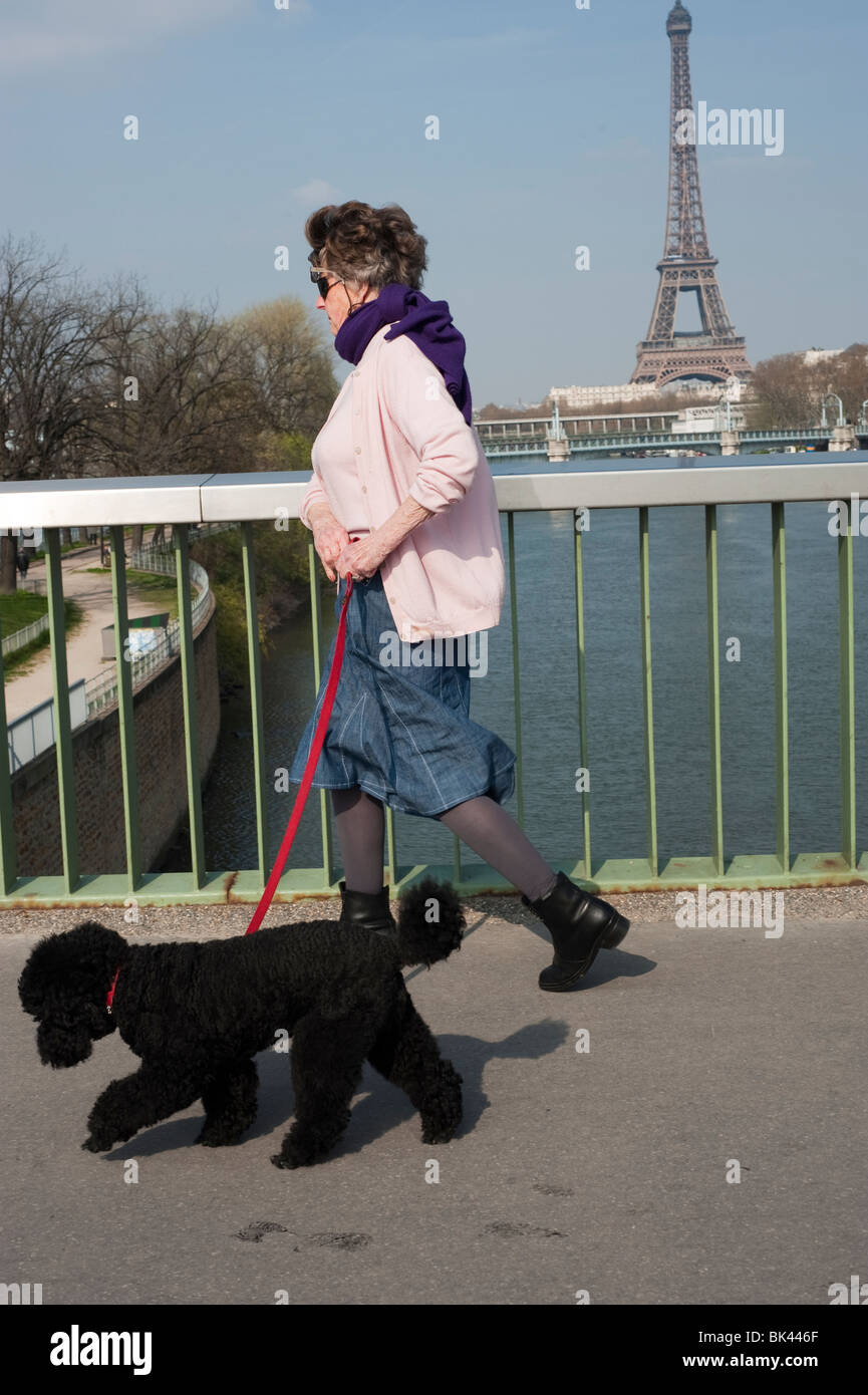 Paris, France, Eiffel Tower, Woman Walking French Poodle Dog on Pont de ...