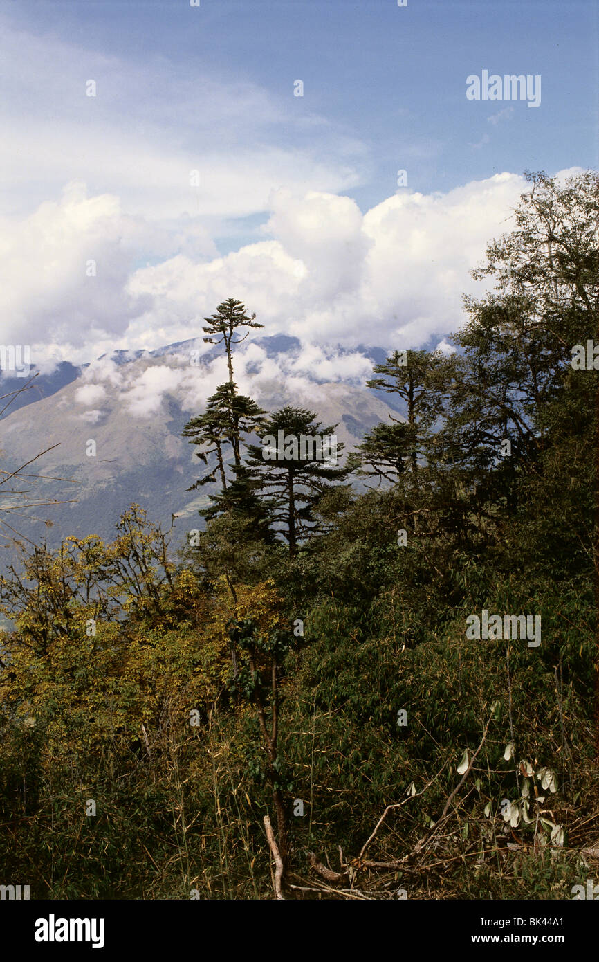 Mountain Landscape Kingdom Of Bhutan Stock Photo Alamy