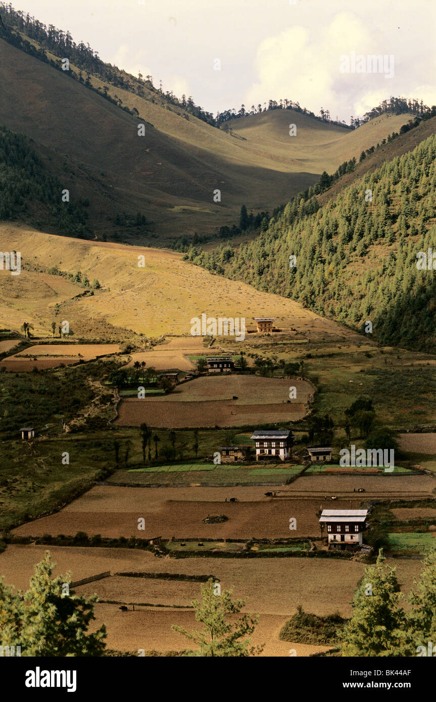 Farms in the Kingdom of Bhutan Stock Photo - Alamy