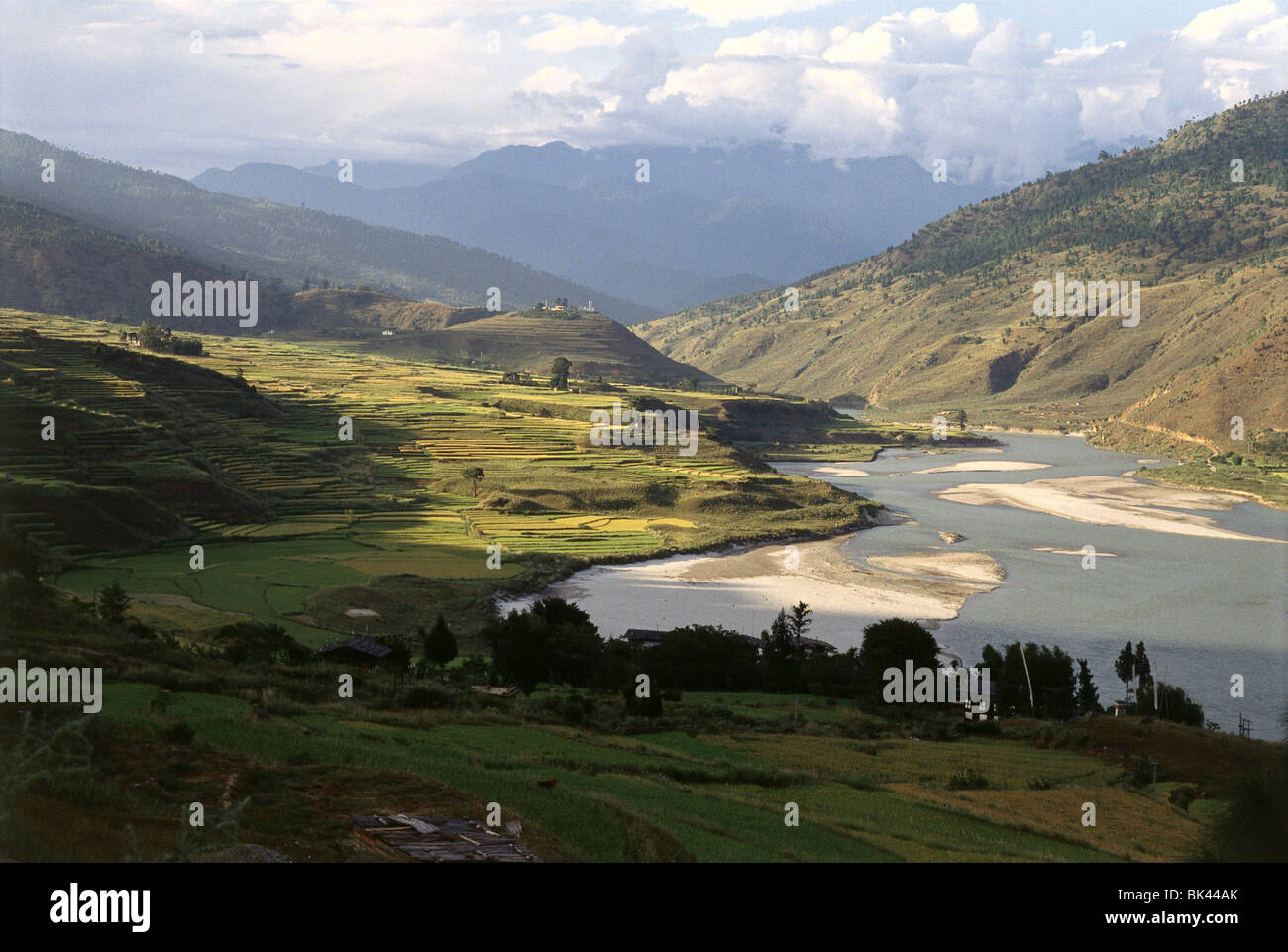 River Valley and Rice Terraces in the Wangdue Prodrang District ...