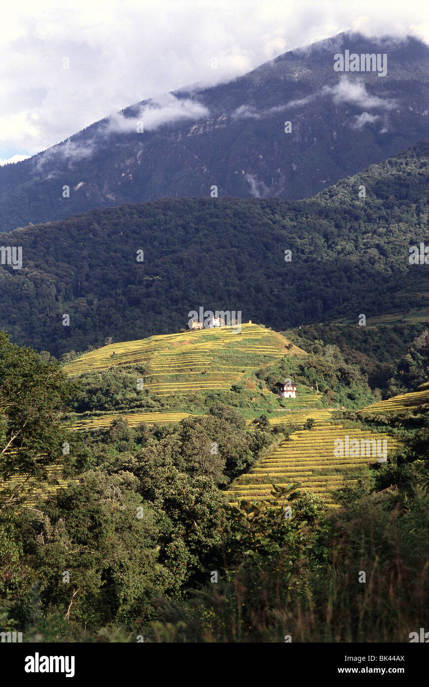 Rural landscape, Kingdom of Bhutan Stock Photo - Alamy